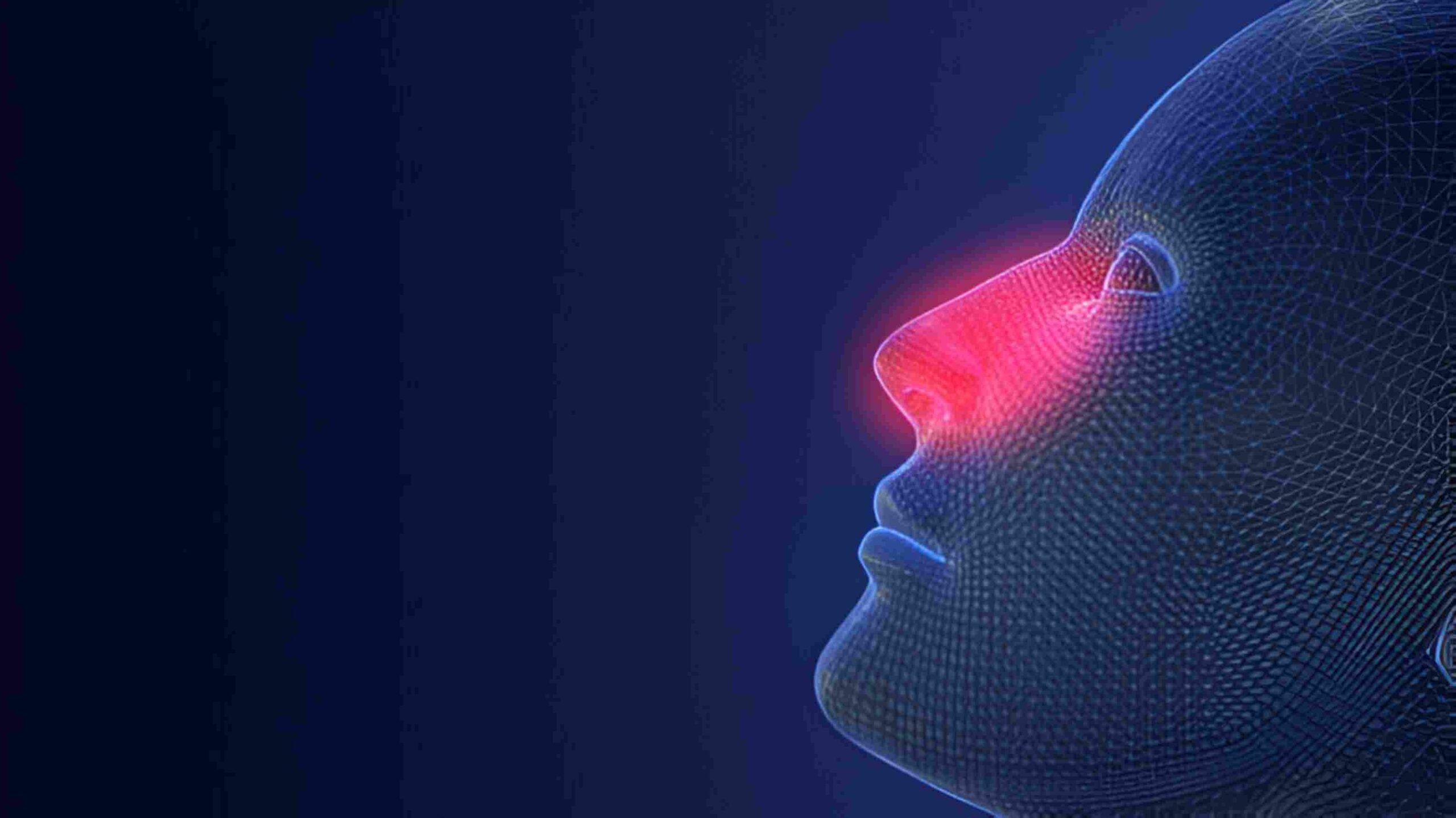 Upturned Nose | The Well Health Organic